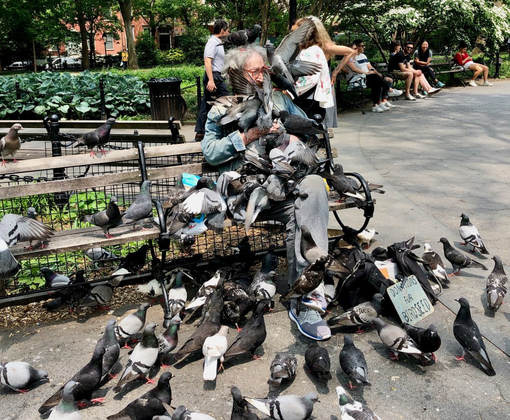 Pigeon Bird Man of NYC and Other Washington Square Oddities